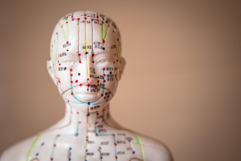 How Acupuncture Works: Channels and Points » Alban Acupuncture